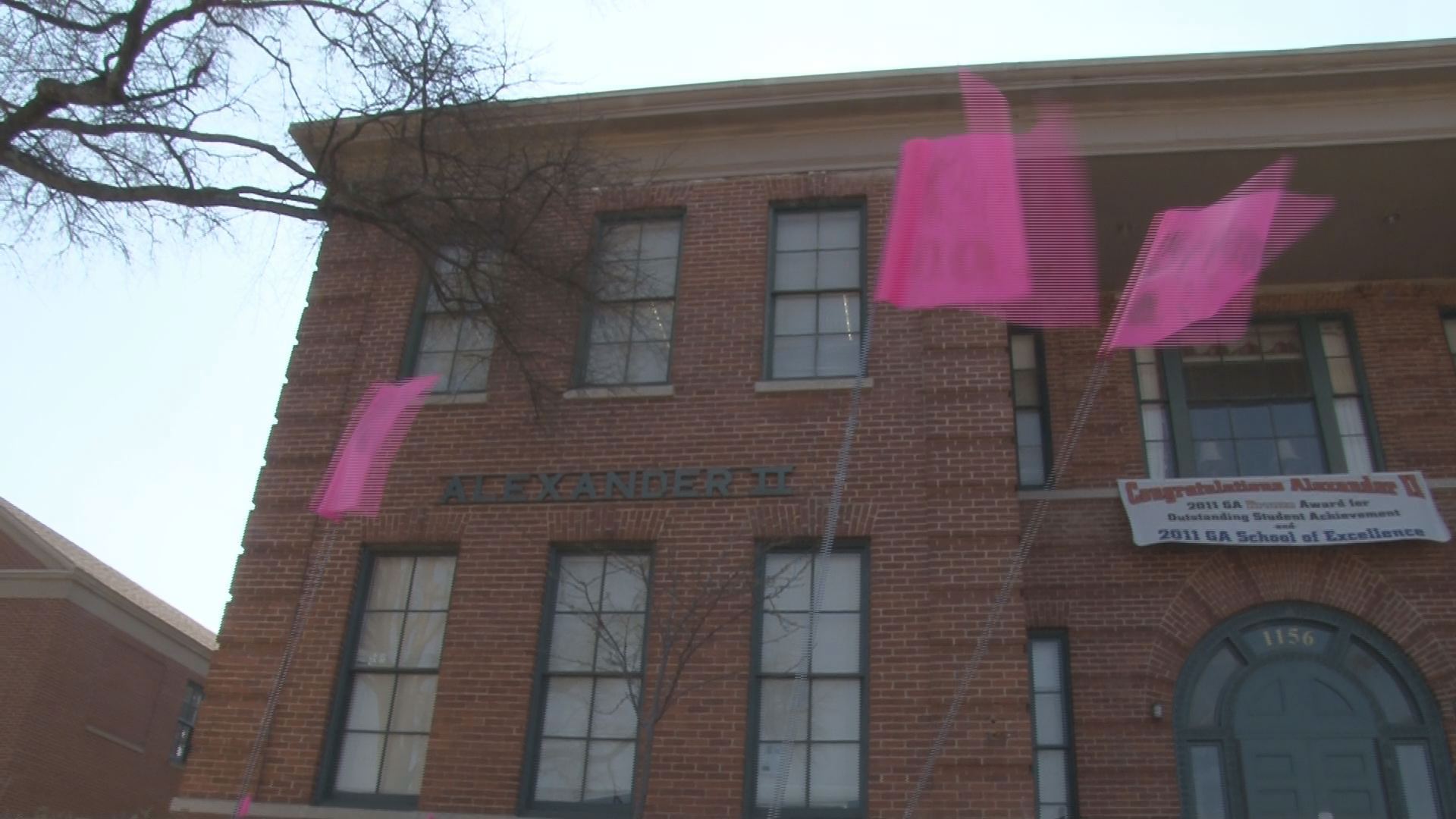 Alexander II gets decked out in pink | 13wmaz.com