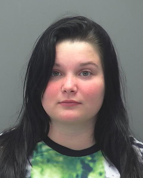 Florida teen tried running over her dad - twice, deputies say | 13wmaz.com
