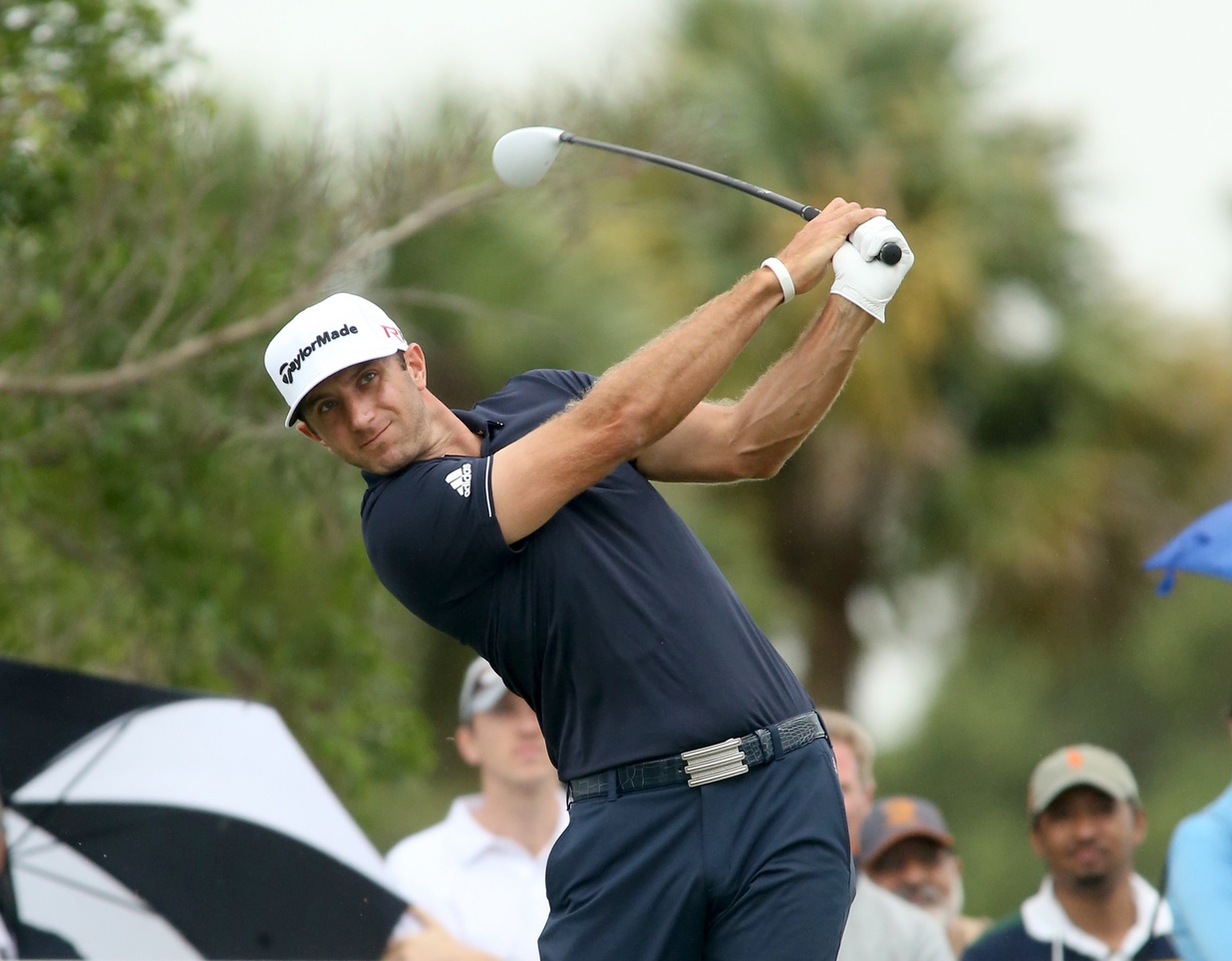 Dustin Johnson wins WGC in Doral | 13wmaz.com