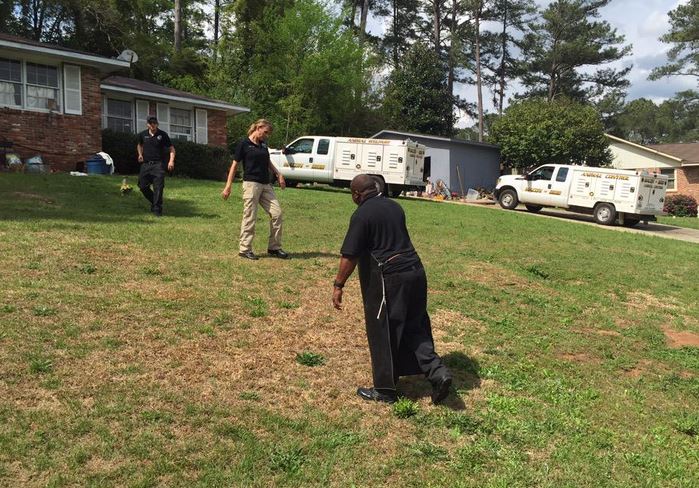 Dozens of animals, some dead, removed from Macon home | 13wmaz.com