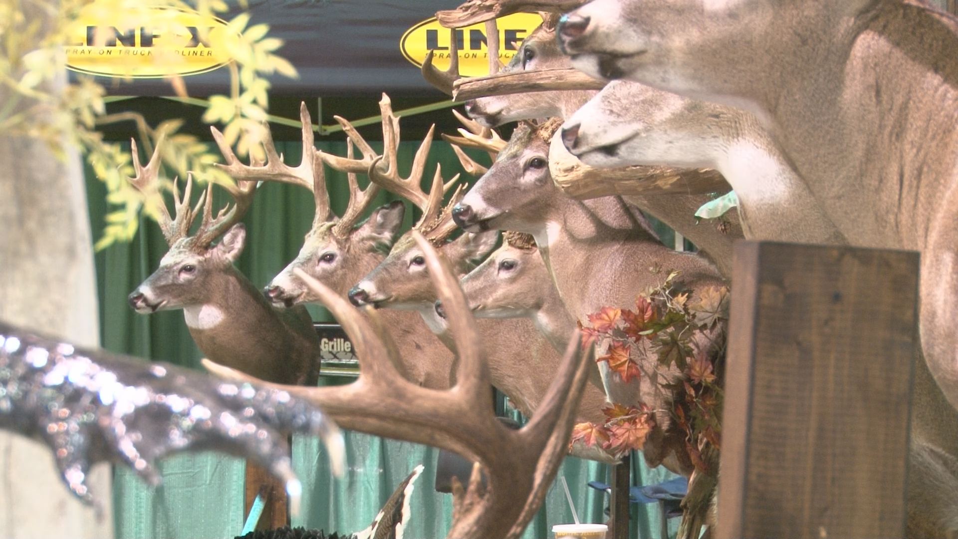 'Buckarama' hunting expo kicks off in Perry | 13wmaz.com