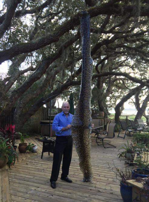 Florida man catches 13-foot python in Python Challenge | 13wmaz.com
