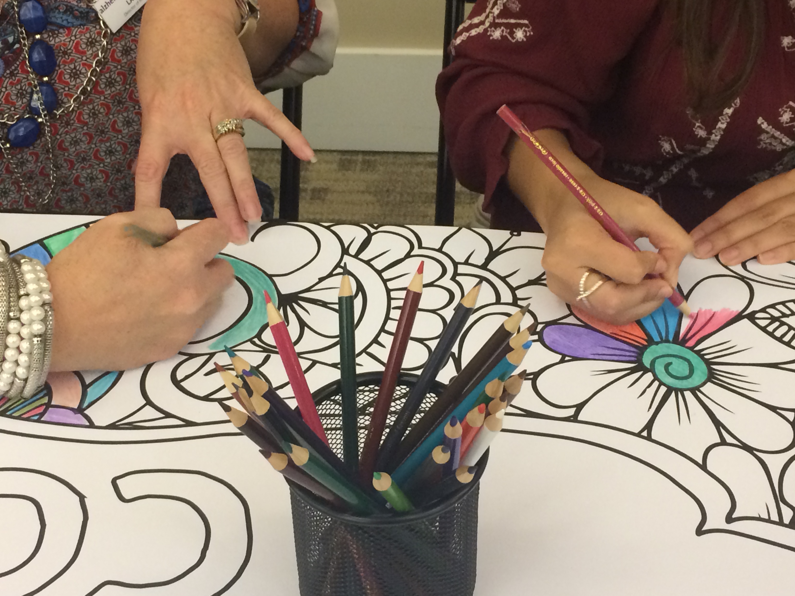 Color for a Cause competition at the Macon Mall | 13wmaz.com