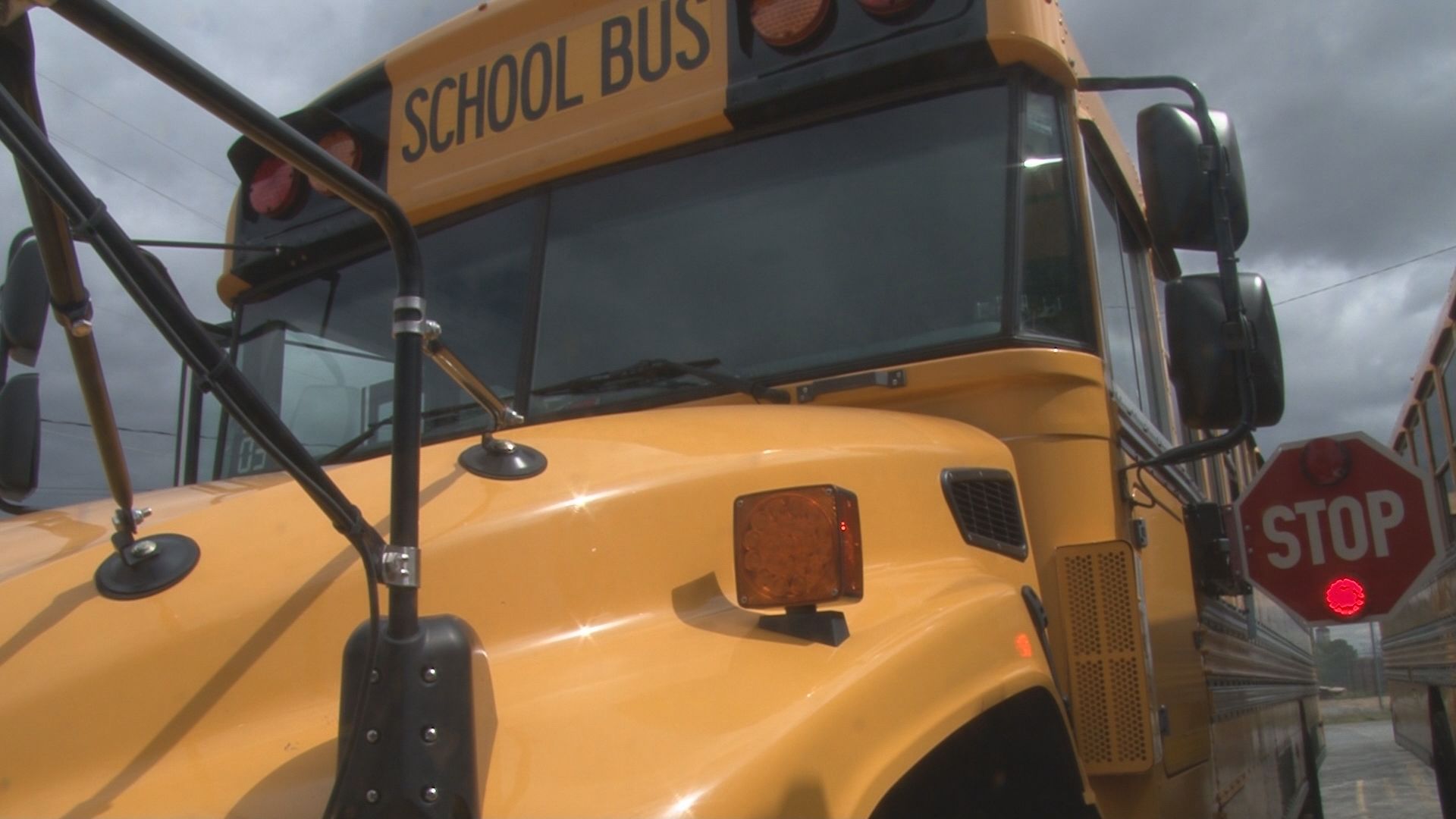 VERIFY: Should drivers stop for school bus on divided highway? | 13wmaz.com