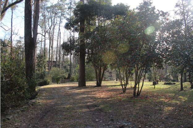 Just Curious: What is the history of Jackson Springs park? | 13wmaz.com